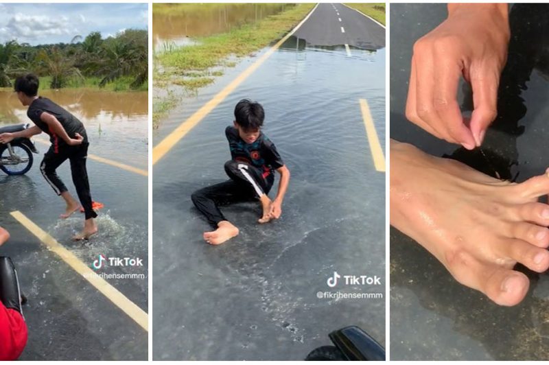 Kad Pengenalan Berubah Wajah 6 Kali : Sejarah Dan Evolusi Memacu ...